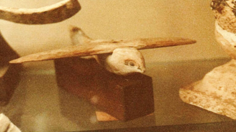 The ‘Alien Glider’ found in an Egyptian tomb - Ancient Aliens
